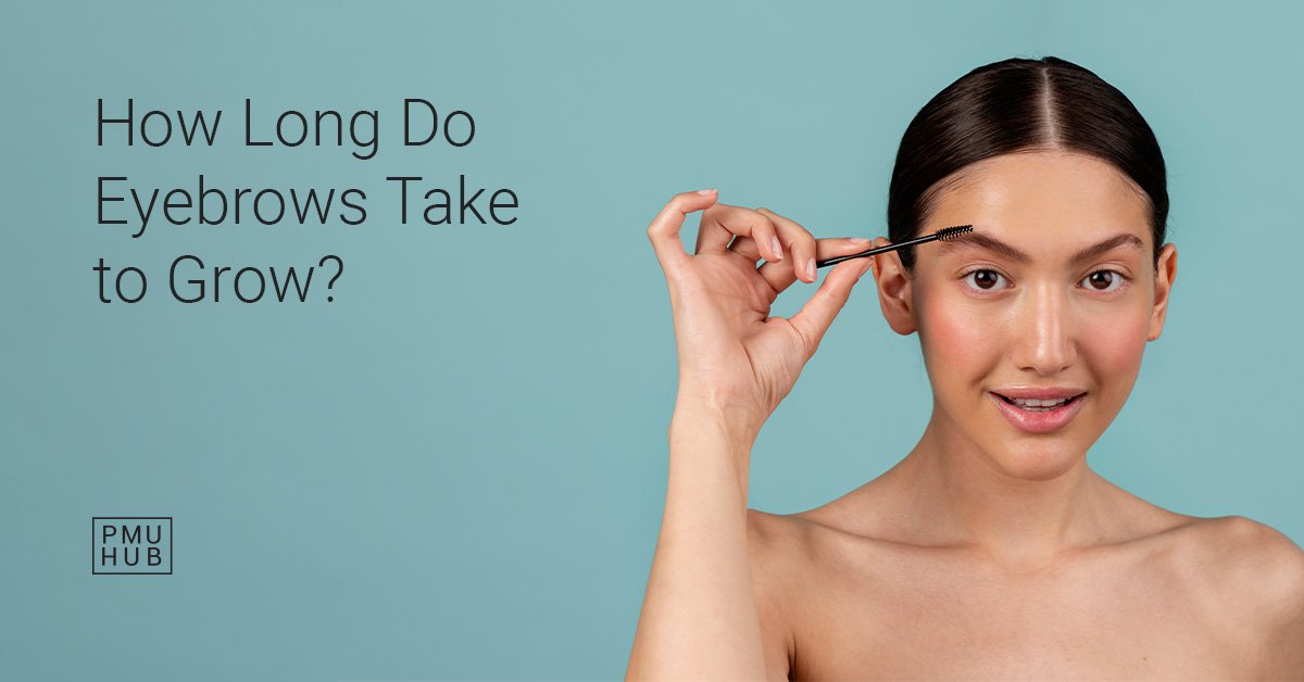 The Eyebrow Growth Cycle Explained Phases And Timeframes